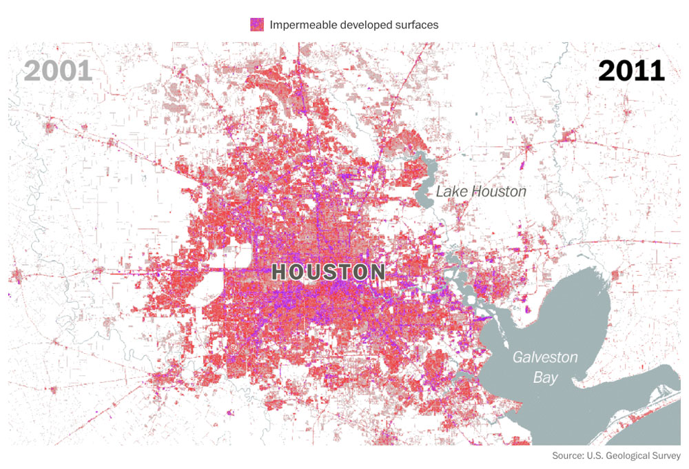 Houston’s ‘Wild West’ growth | Kwok Daniel, LP